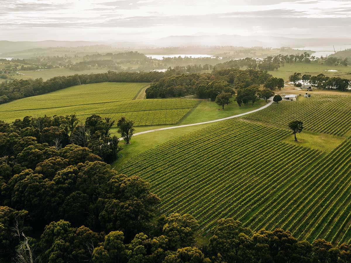 Wine Tasmania – Best Cellar Doors Tasmania | Wine Tasmania