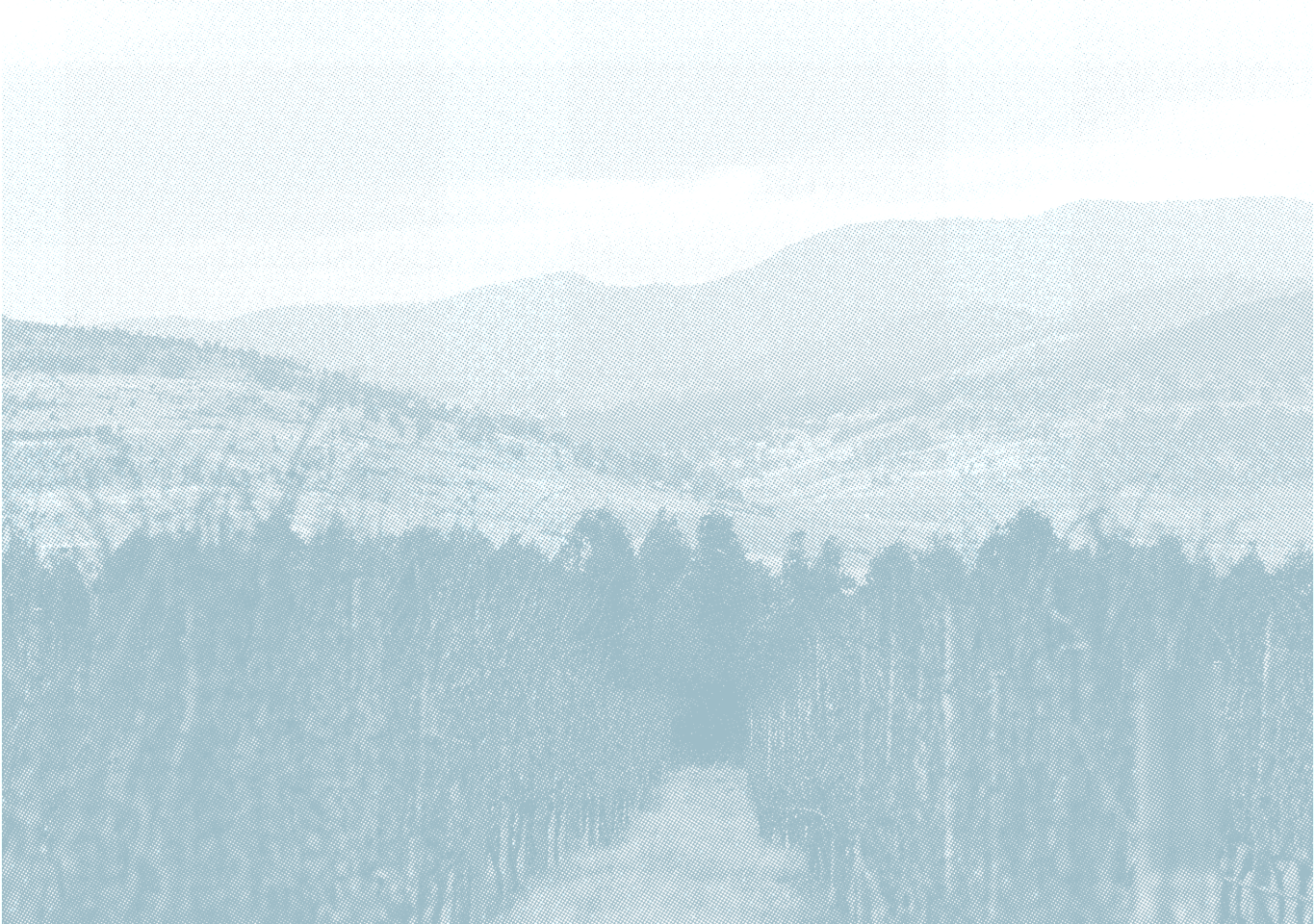 Mewstone Wines | Wine Tasmania | Wine Tasmania