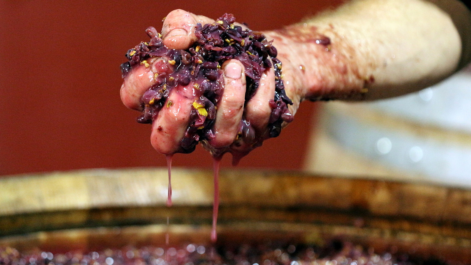 History Of Wine In Tasmania | Wine Tasmania | Wine Tasmania