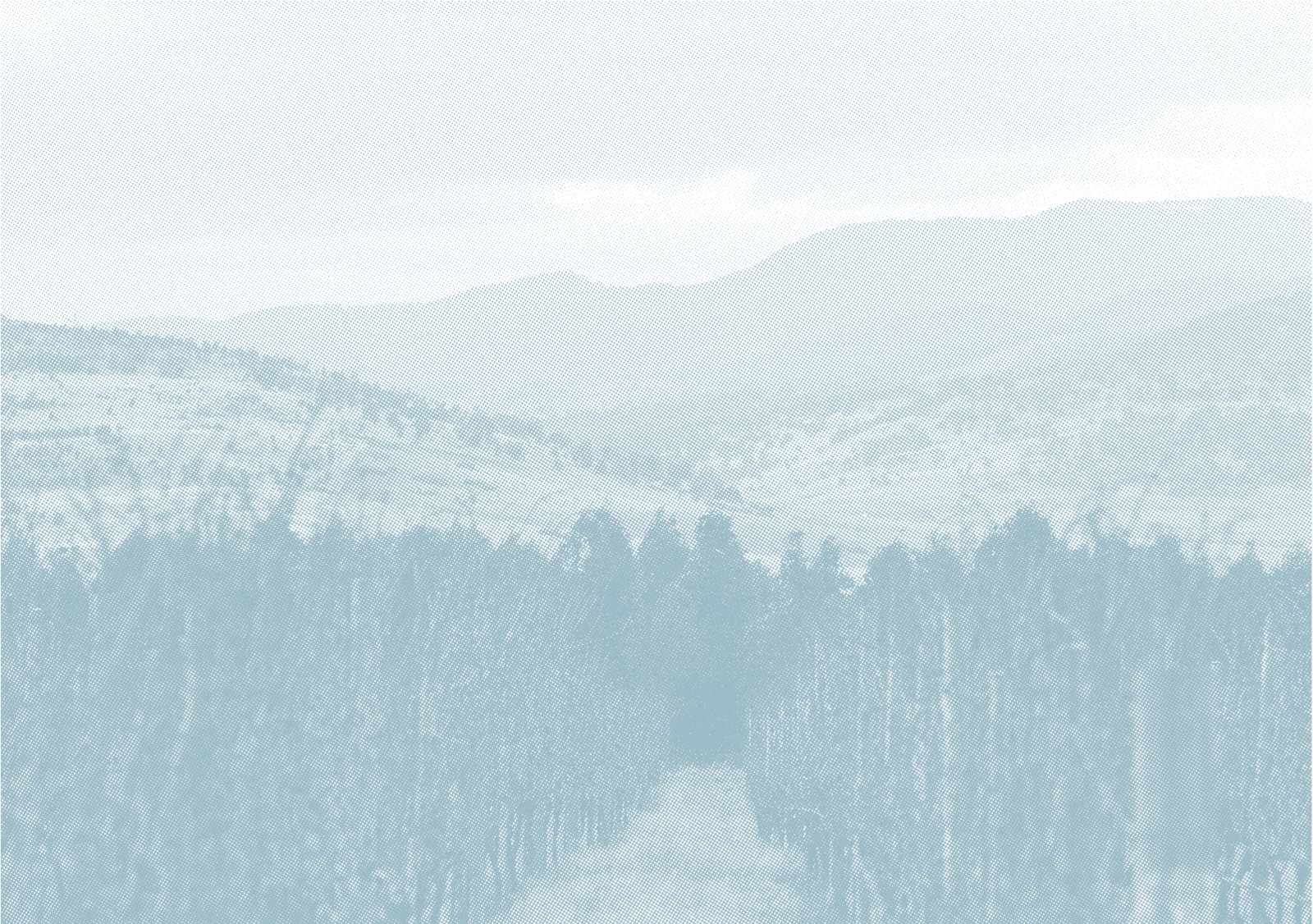 Pressing Matters | Wine Tasmania