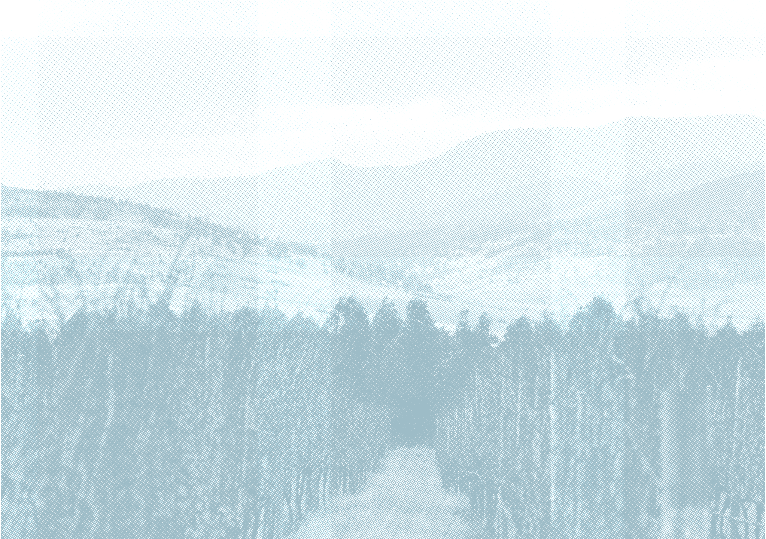 Mewstone Wines | Wine Tasmania | Wine Tasmania