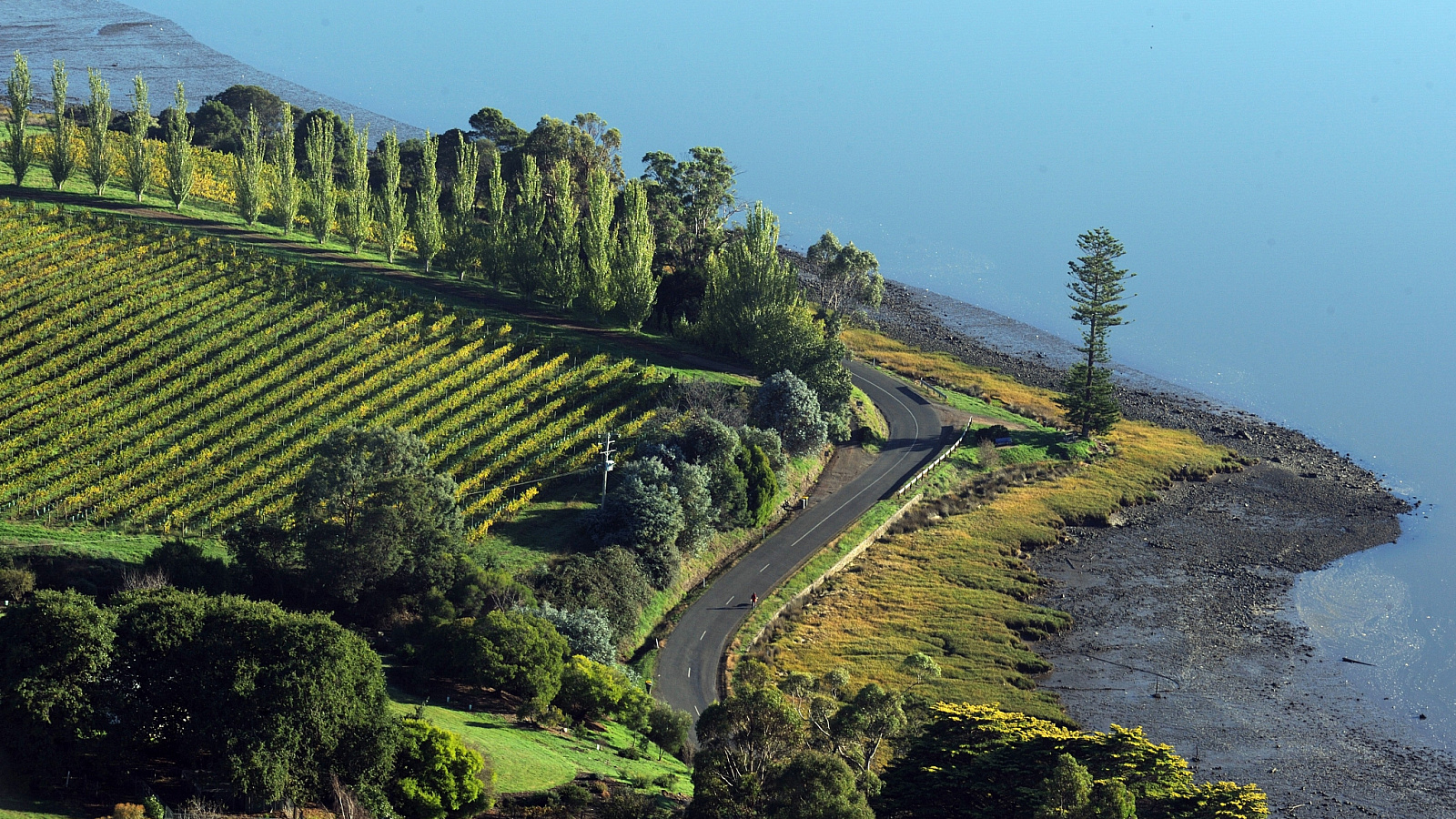 Wine and Cellar Door Trails | Wine Tasmania | Wine Tasmania