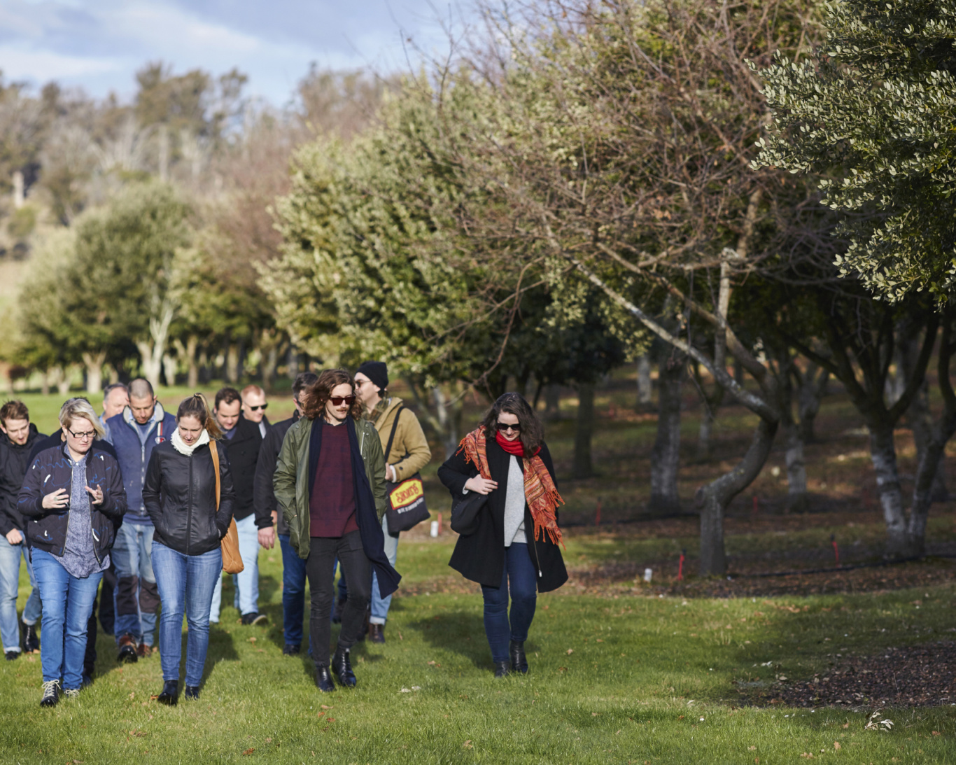 Home of Australia's best wine | Wine Tasmania