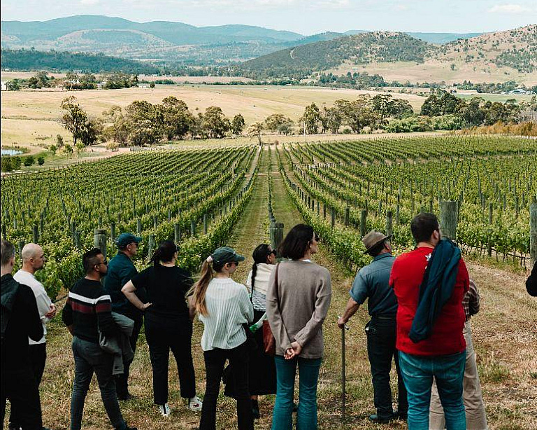 Home Of Australia's Best Wine | Wine Tasmania