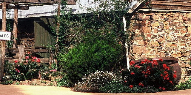 Spring Vale Vineyards | Wine Tasmania | Wine Tasmania