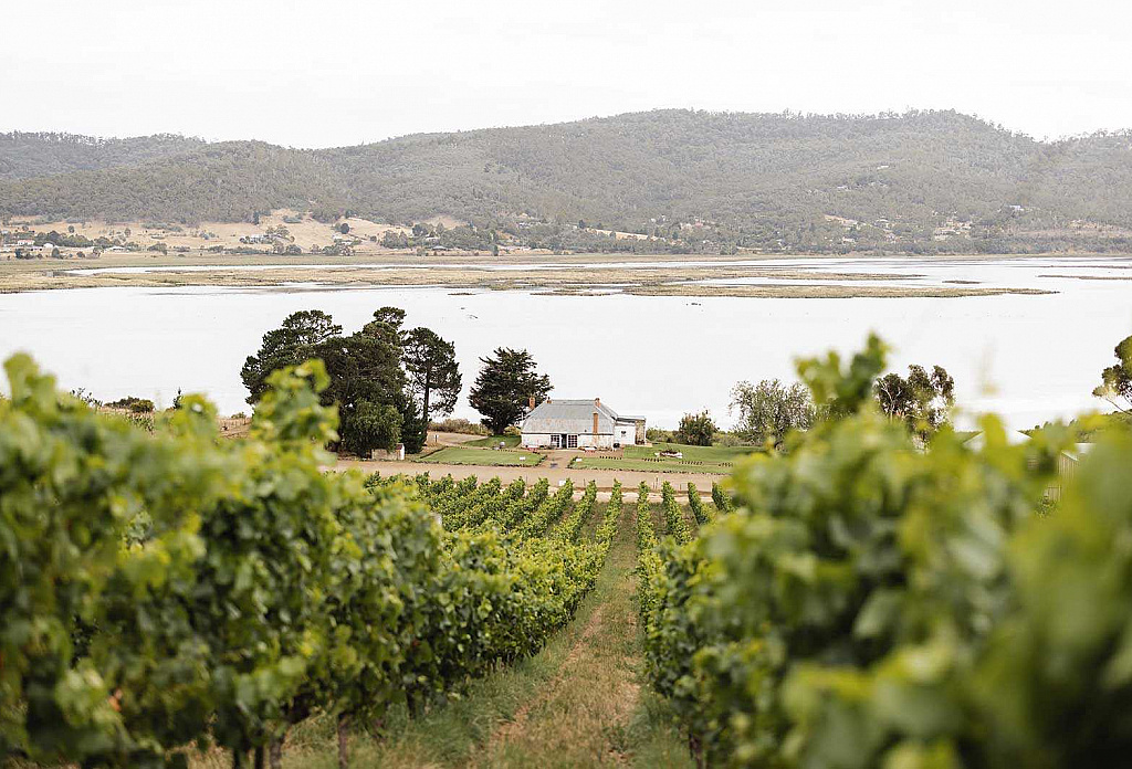 Tasmanian Wine Trail | Wine Tasmania | Wine Tasmania