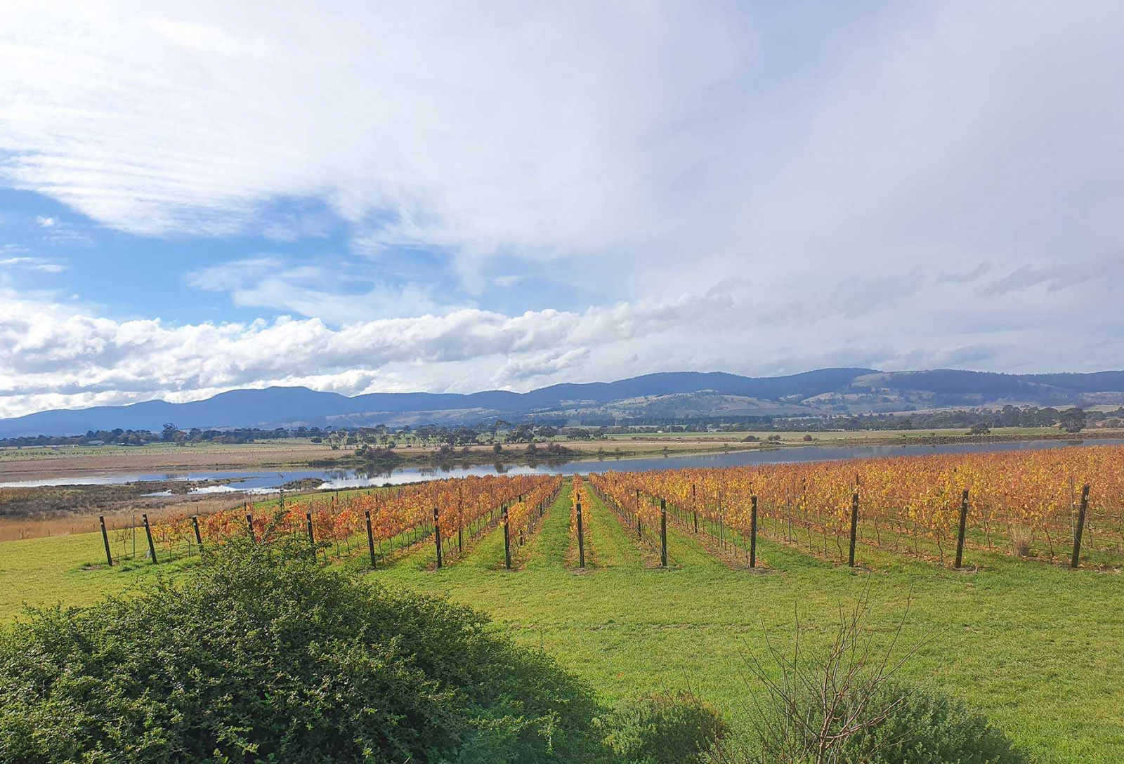Southern Wine Trail | Wine Tasmania | Wine Tasmania
