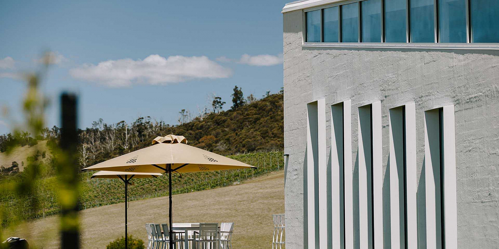 Pressing Matters | Wine Tasmania