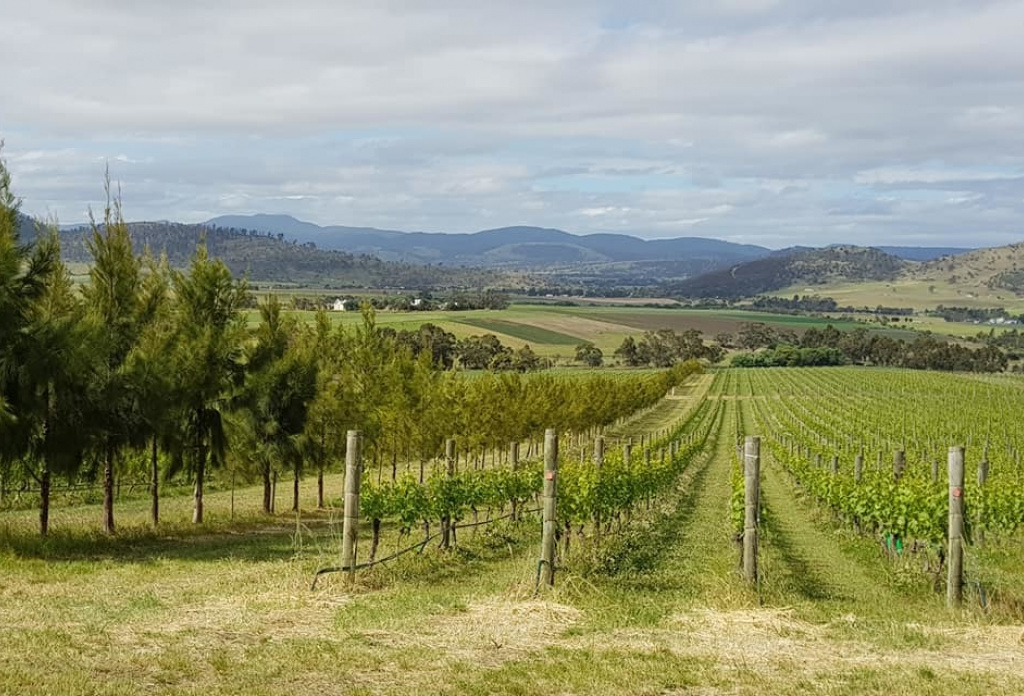 Tasmanian Wine Trail | Wine Tasmania | Wine Tasmania