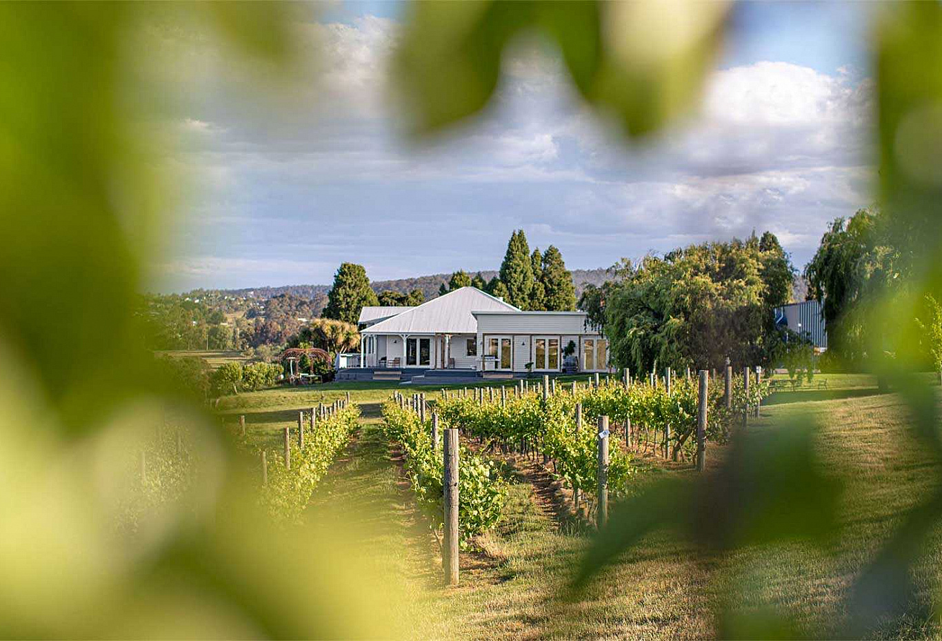 Tamar Valley Wine Trail | Wine Tasmania | Wine Tasmania