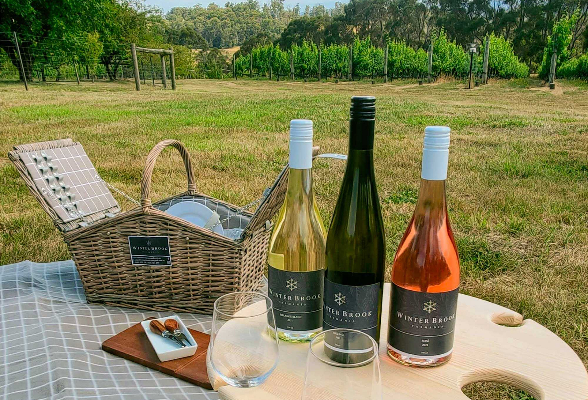 Tamar Valley Wine Trail | Wine Tasmania | Wine Tasmania